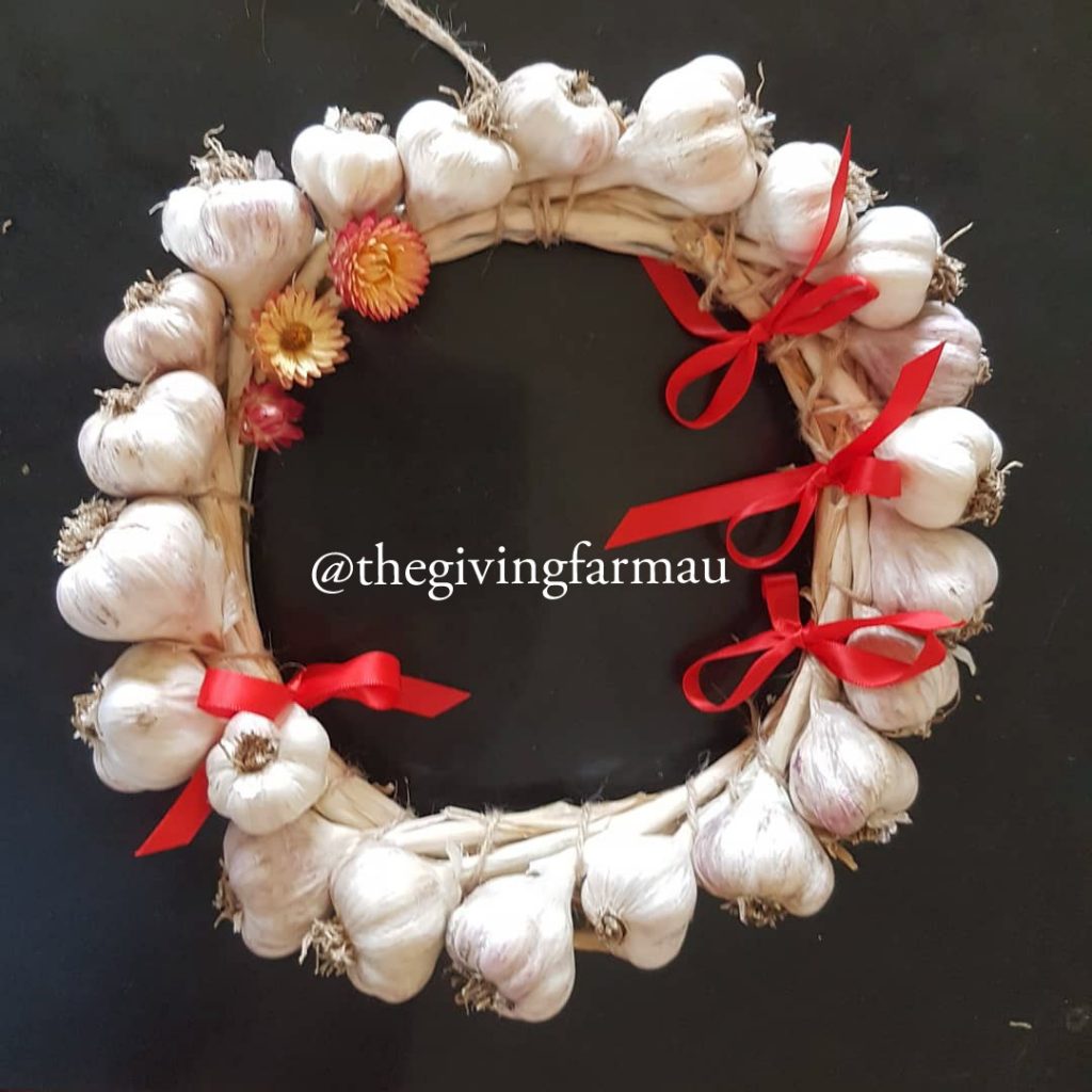 Gift Voucher - Animal Cuddle, Feed and Pat Experience - The Giving Farm