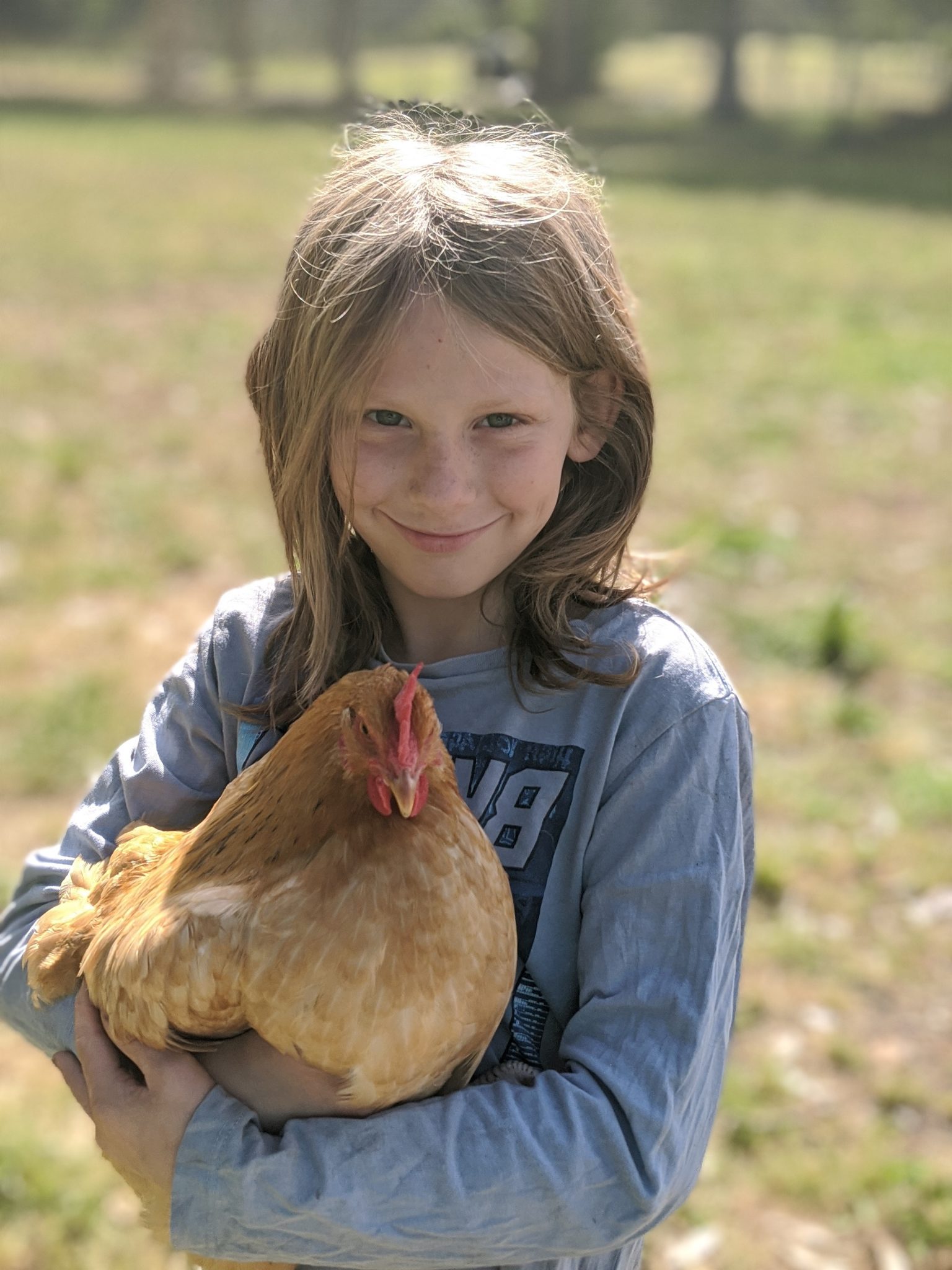 Farm Animal Cuddle, Feed & Pat Experience - The Giving Farm