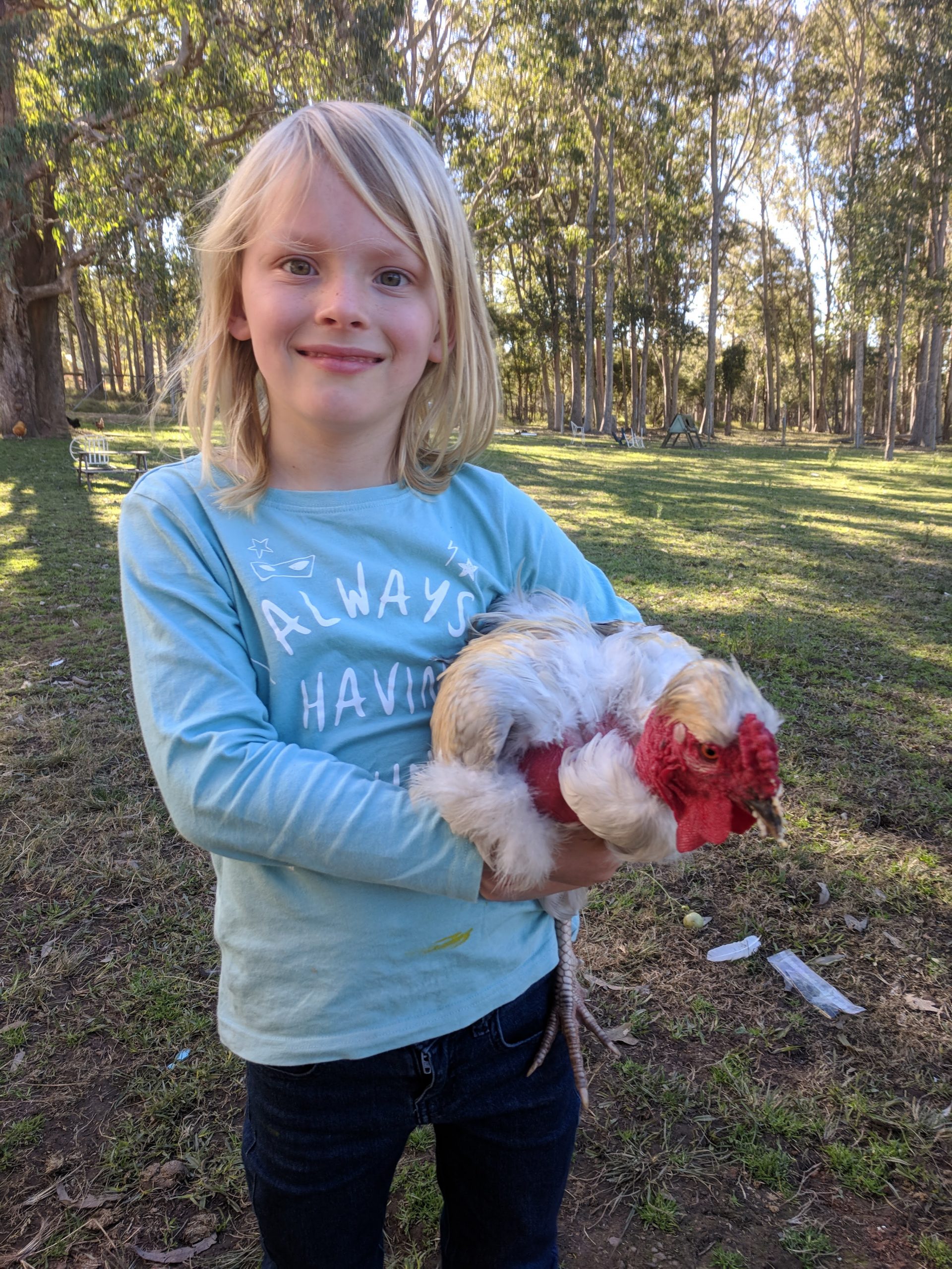 Farm Animal Cuddle, Feed & Pat Experience - The Giving Farm