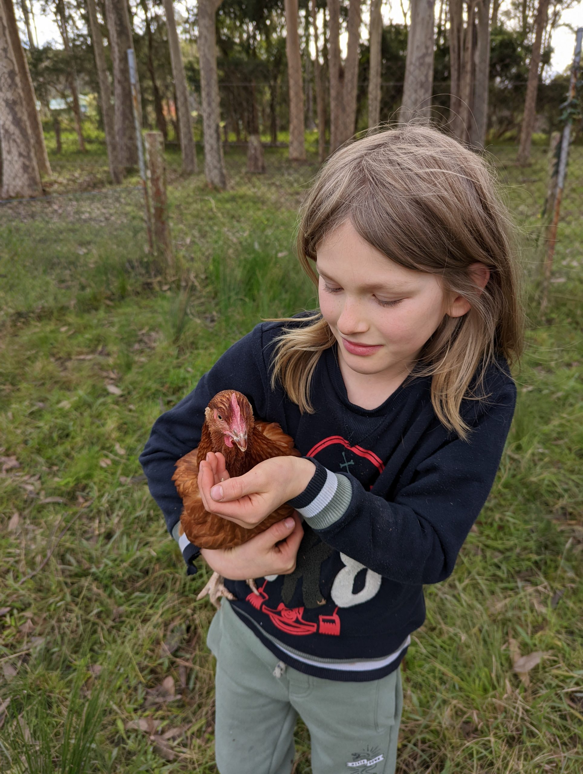 Farm Animal Cuddle, Feed & Pat Experience - The Giving Farm
