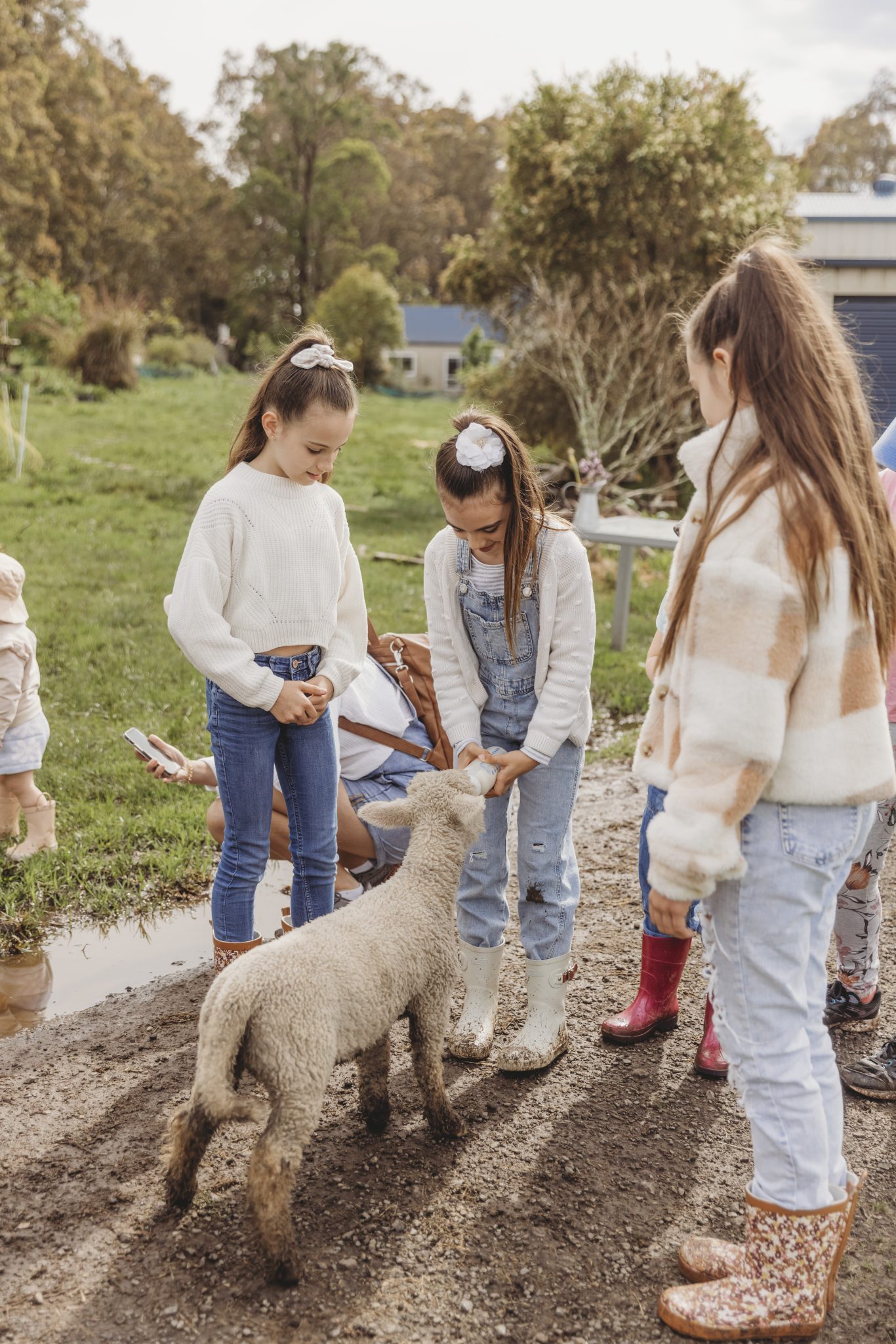 Farm Animal Cuddle, Pat & Feed Experience - The Giving Farm