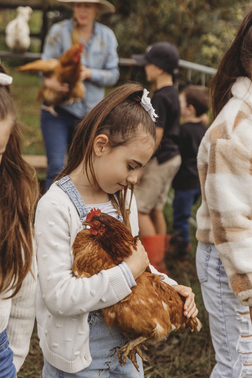 Farm Animal Cuddle, Pat & Feed Experience - The Giving Farm