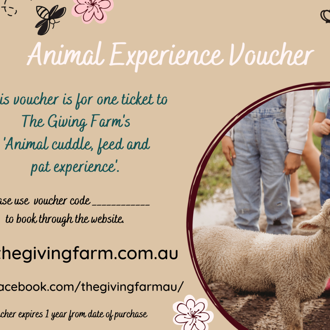 Farm Animal Cuddle, Pat & Feed Experience - The Giving Farm