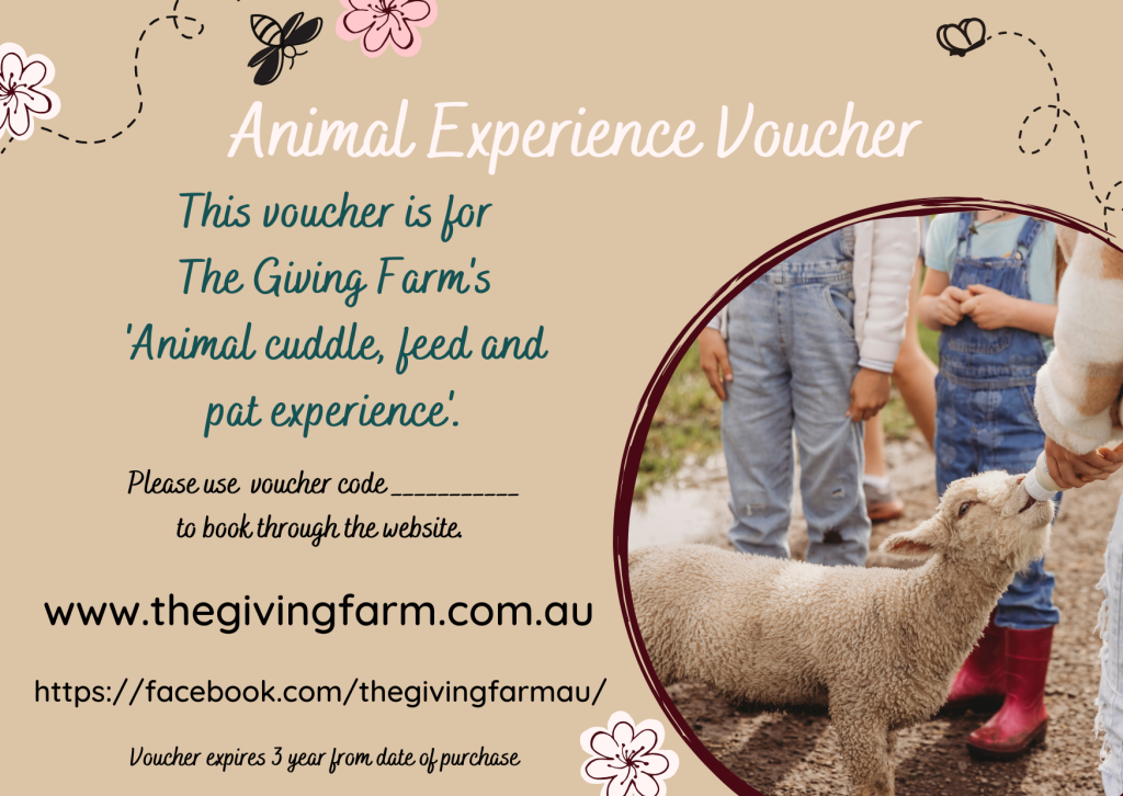Gift Voucher - Animal Cuddle, Feed and Pat Experience - The Giving Farm