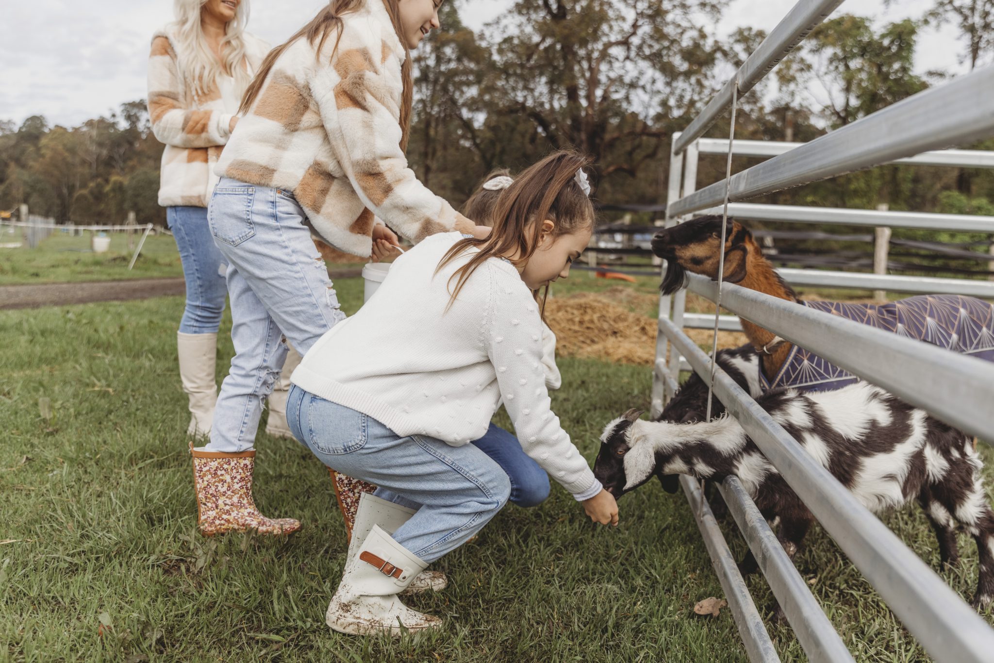 Farm Animal Cuddle, Feed & Pat Experience - The Giving Farm