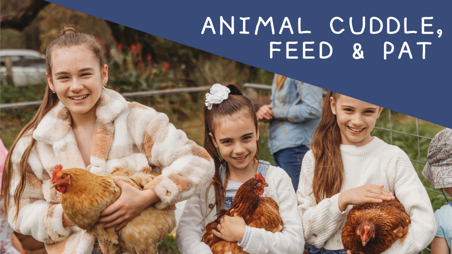 Farm Animal Cuddle, Feed & Pat Experience - The Giving Farm