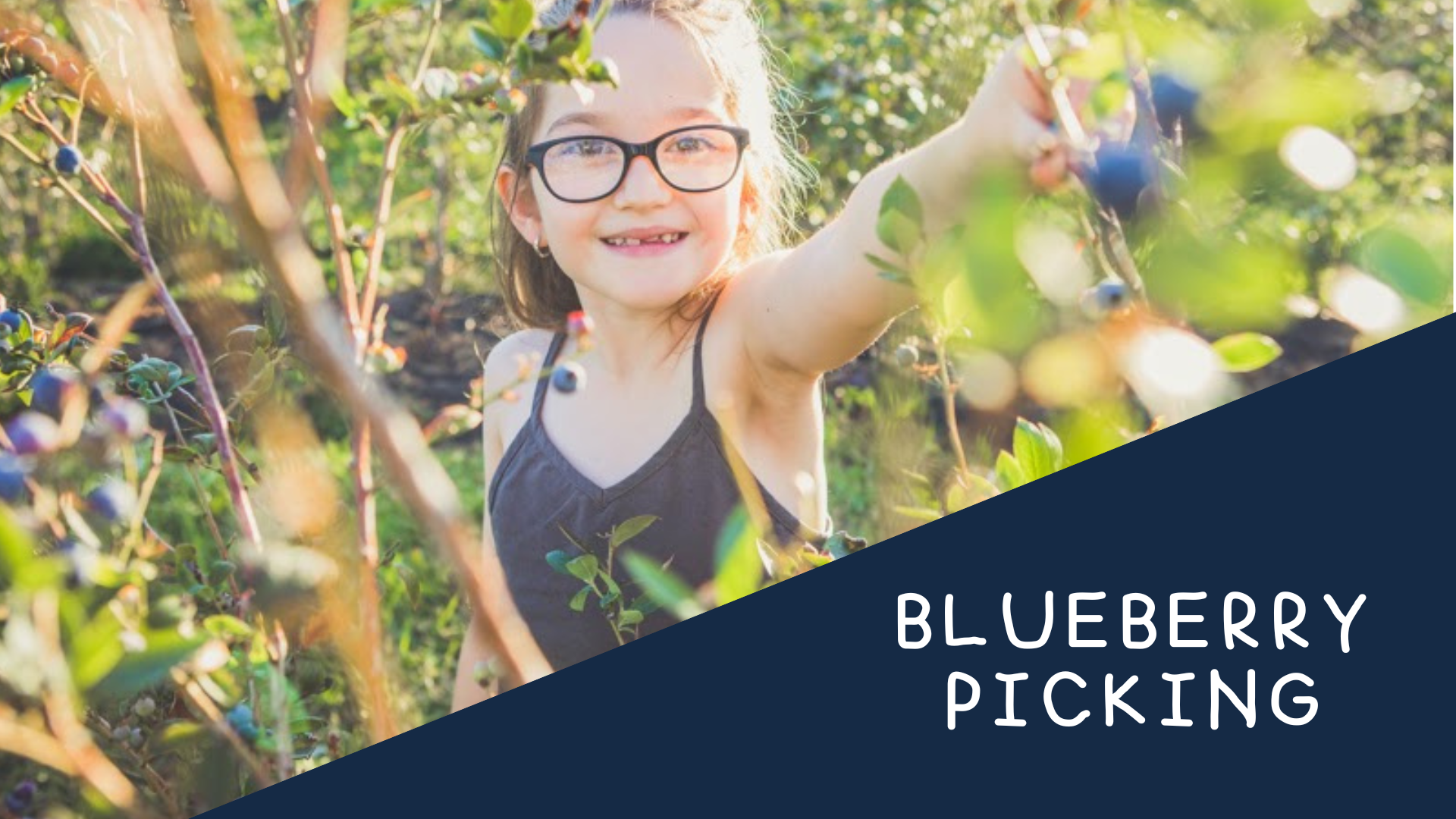 Blueberry Picking - The Giving Farm